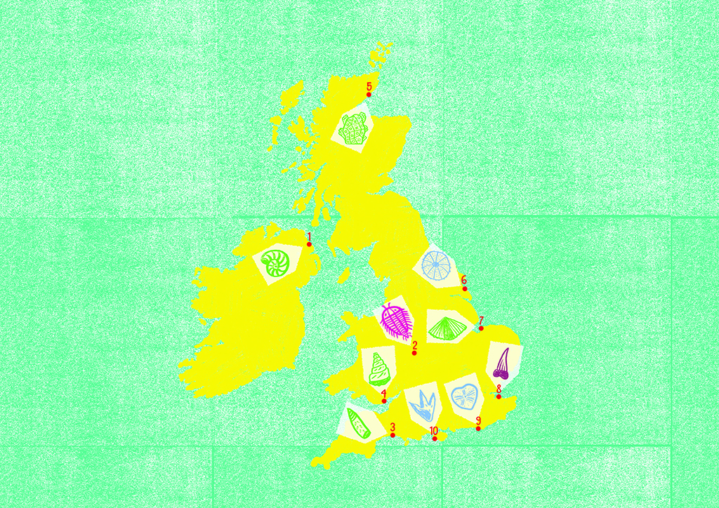 UK Fossil Hunting Guide - AQUILA Blog