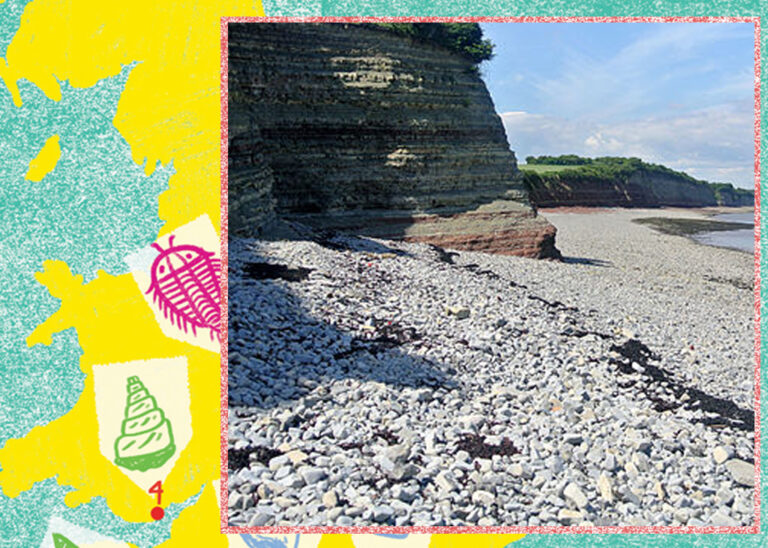 UK Fossil Hunting Guide - AQUILA Blog