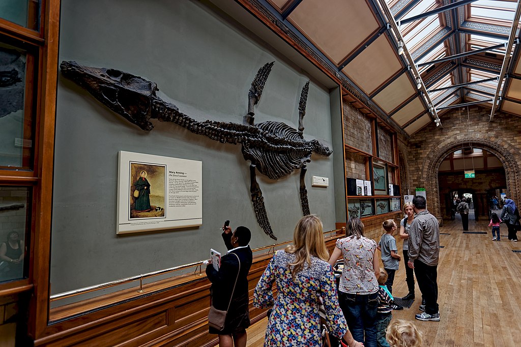 Mary Anning: Dinosaur woman! - AQUILA Blog