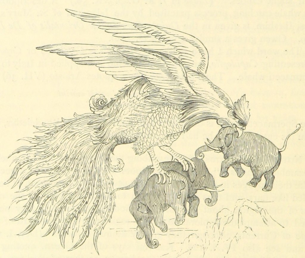 Mythical Creatures Facts for Kids - AQUILA Blog