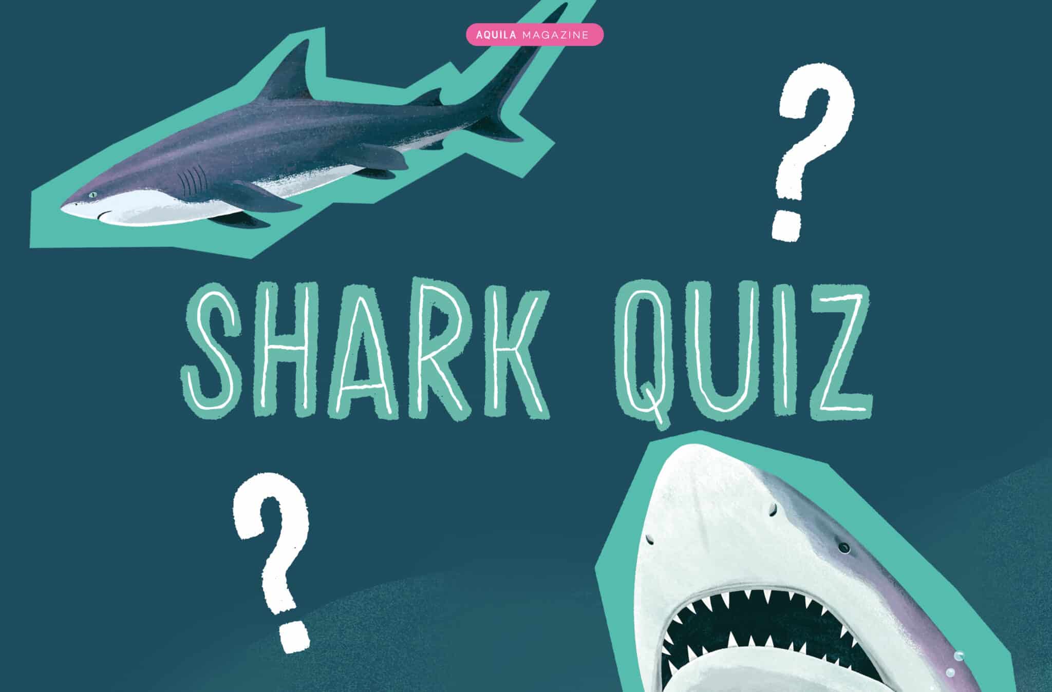 AQUILA Children's Magazine Blog - AQUILA Blog