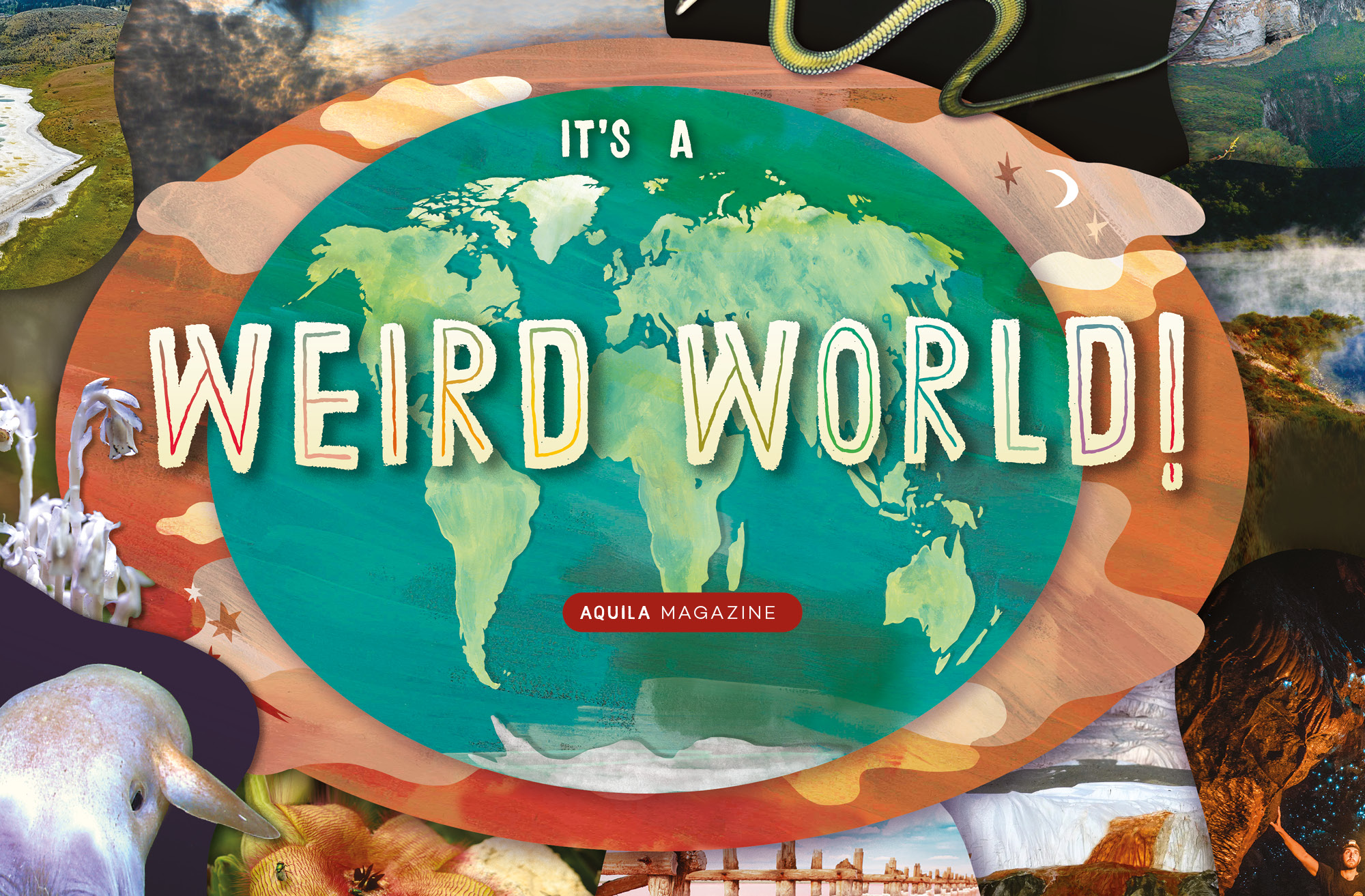 Top 7 Weirdest Things on Earth - AQUILA Blog