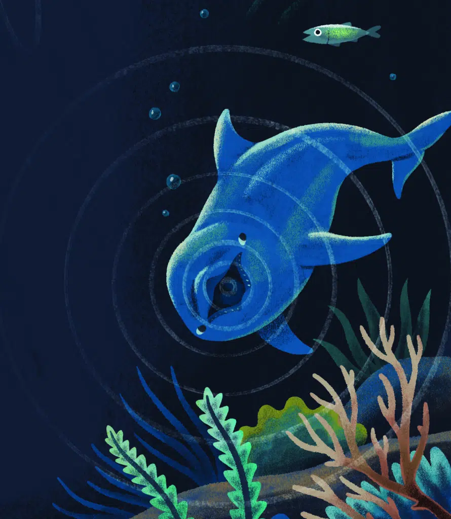 Echolocation Game - AQUILA Blog