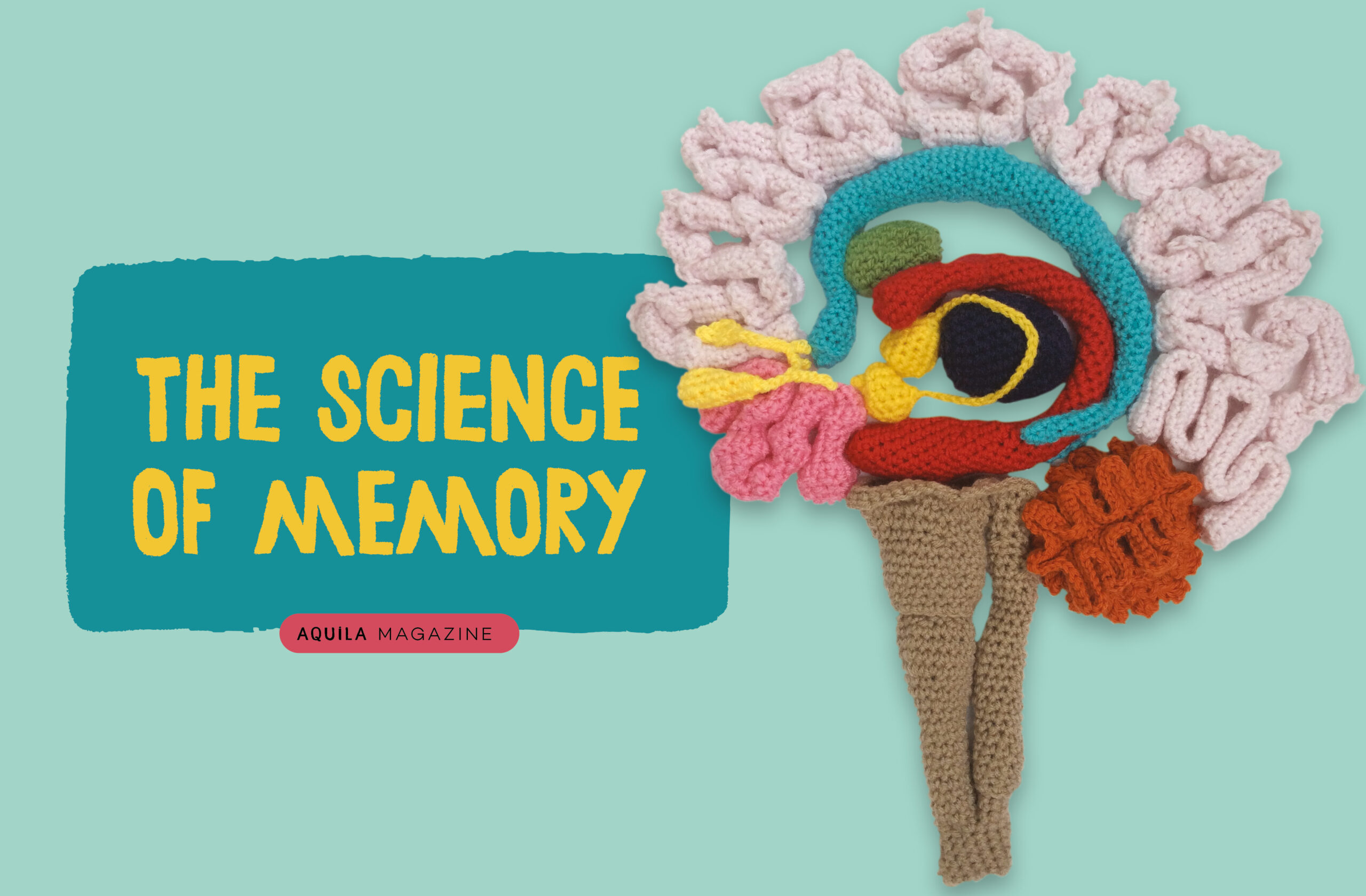 The Science of Memory: How the Brain Remembers - AQUILA Blog