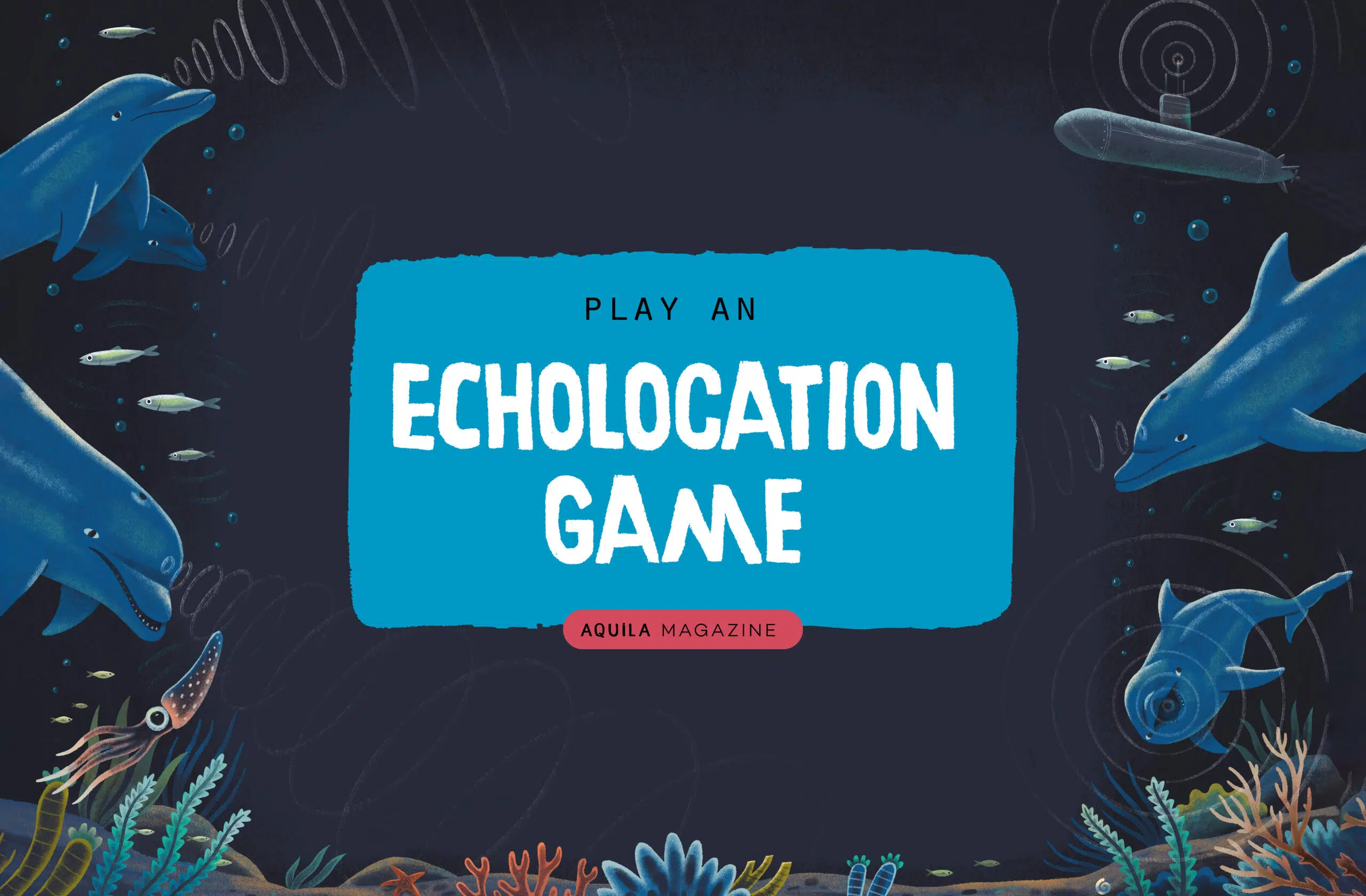 AQUILA Children's Magazine Blog - AQUILA Blog