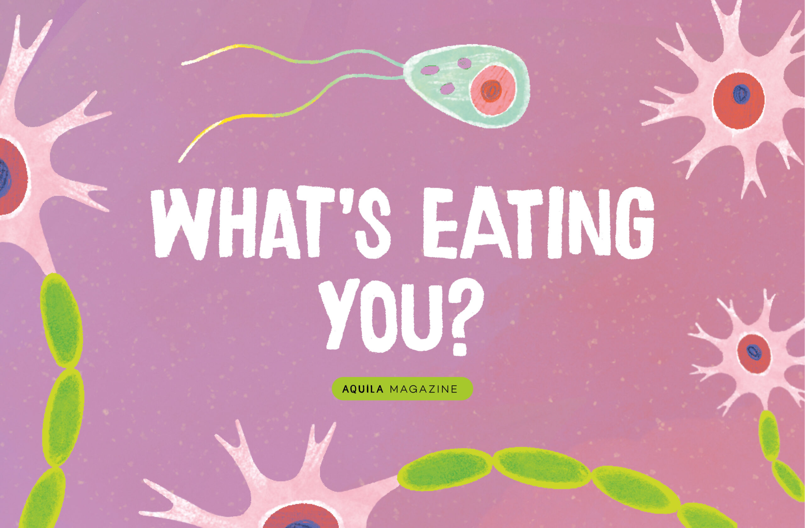 What’s Eating You? Brain Parasites That’ll Make Your Skin Crawl ...