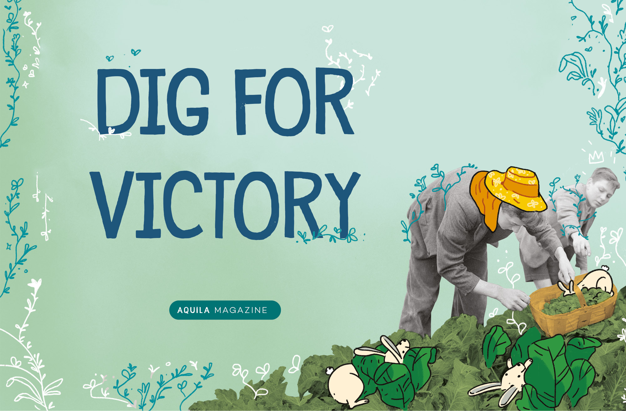 Dig for Victory - AQUILA Blog